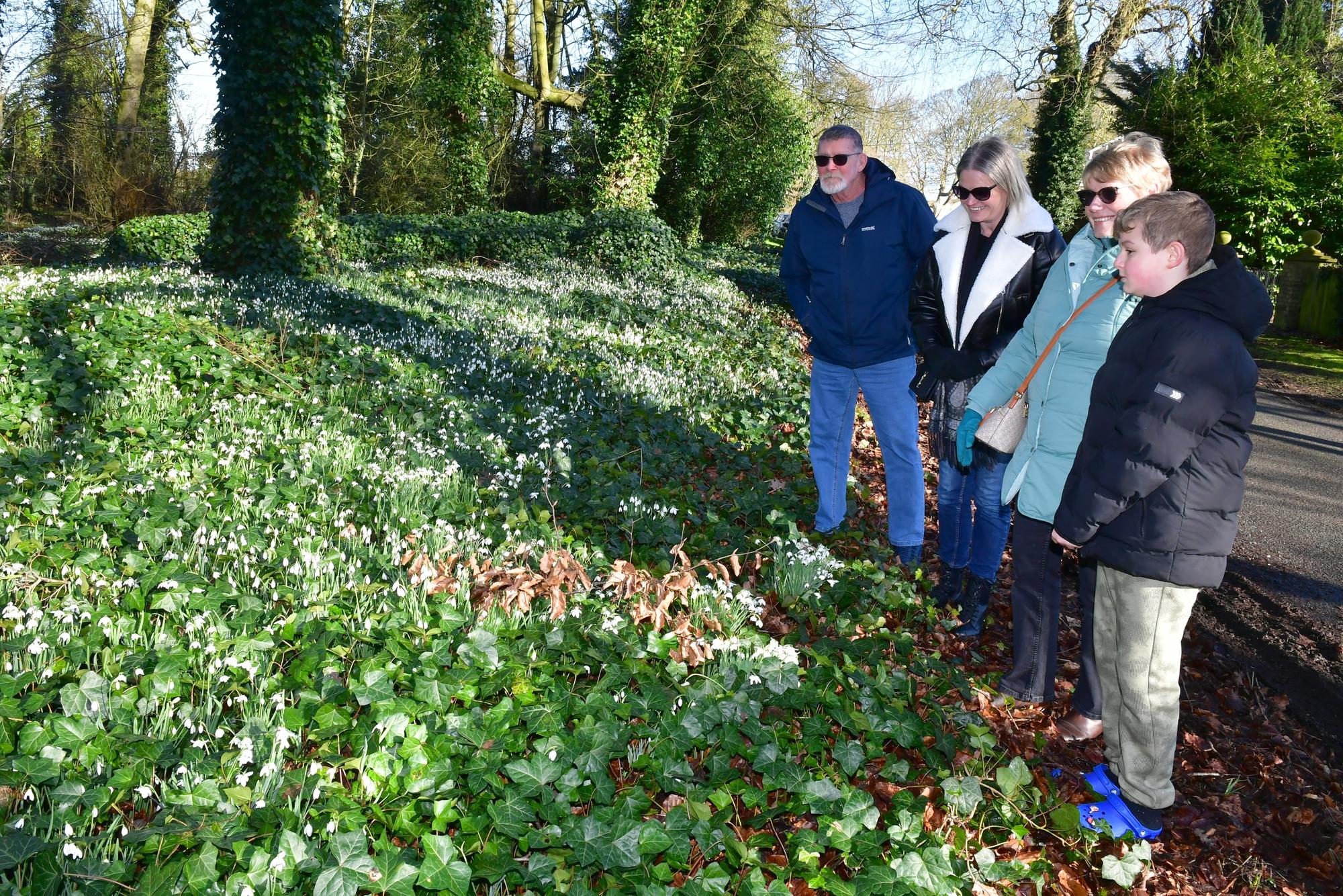 Village's snowdrop festival is 'huge success' as weather relents ...
