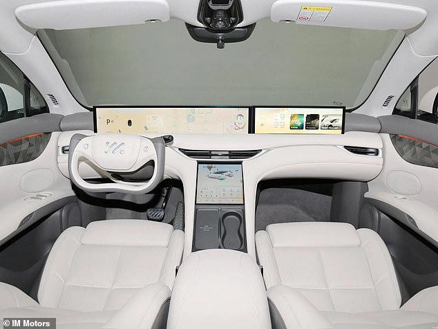 China to ban yoke steering wheels in cars after outlawing hidden door ...
