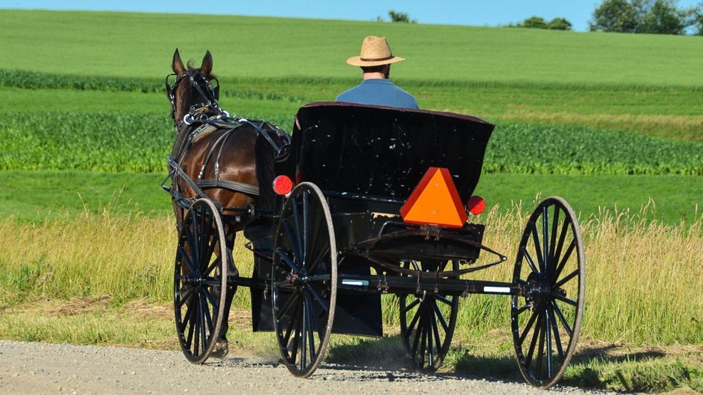 Researchers examine how Lancaster’s Amish influenced 2024 presidential ...