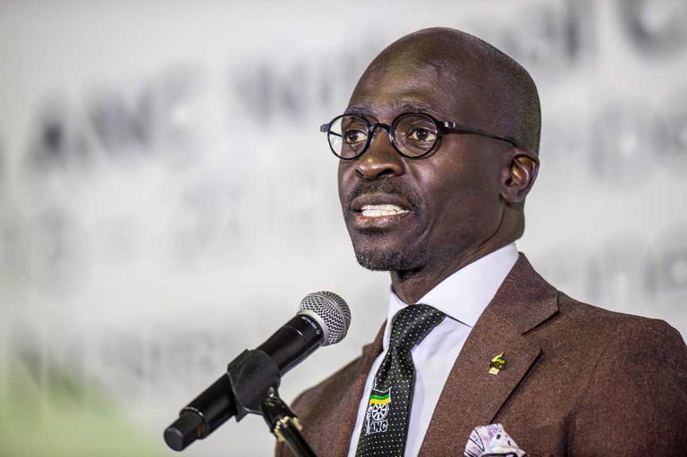 Dr Malusi Gigaba hits back after EFF MP Carl Niehaus demands his ...