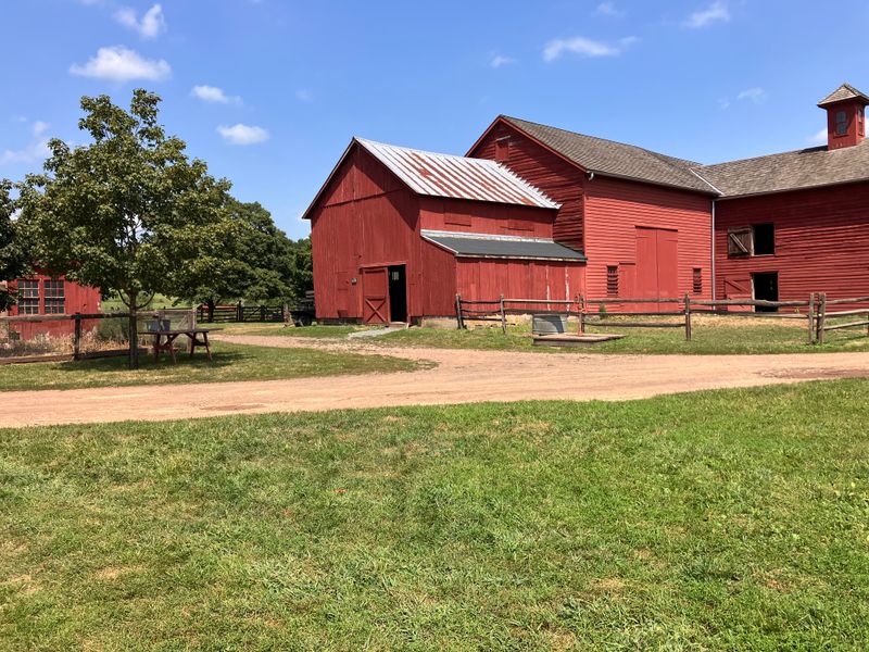 The New Jersey farm that preserves the Amish way of life