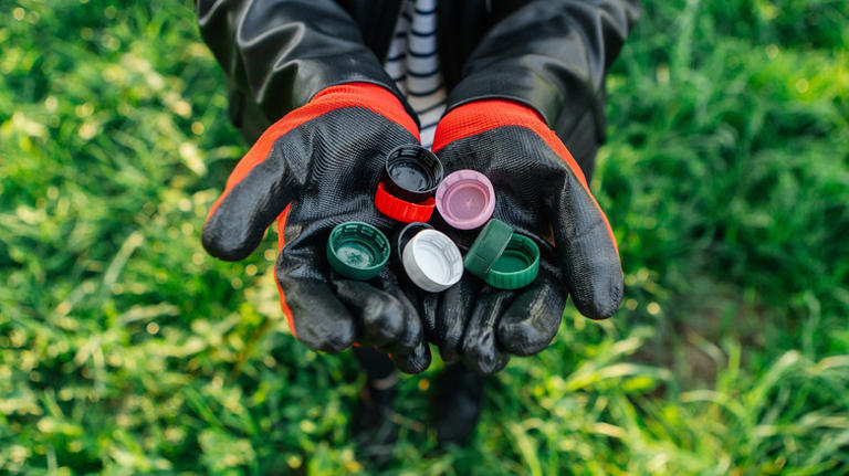 How to repurpose old bottle caps in your garden to prevent pests
