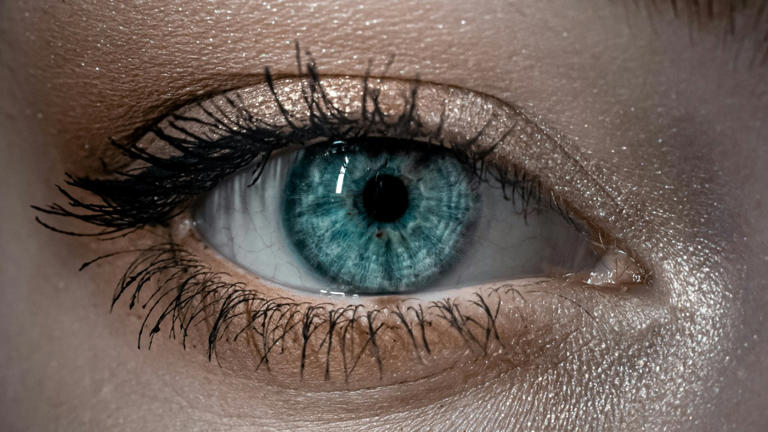 All blue-eyed people share this 1 hidden trait