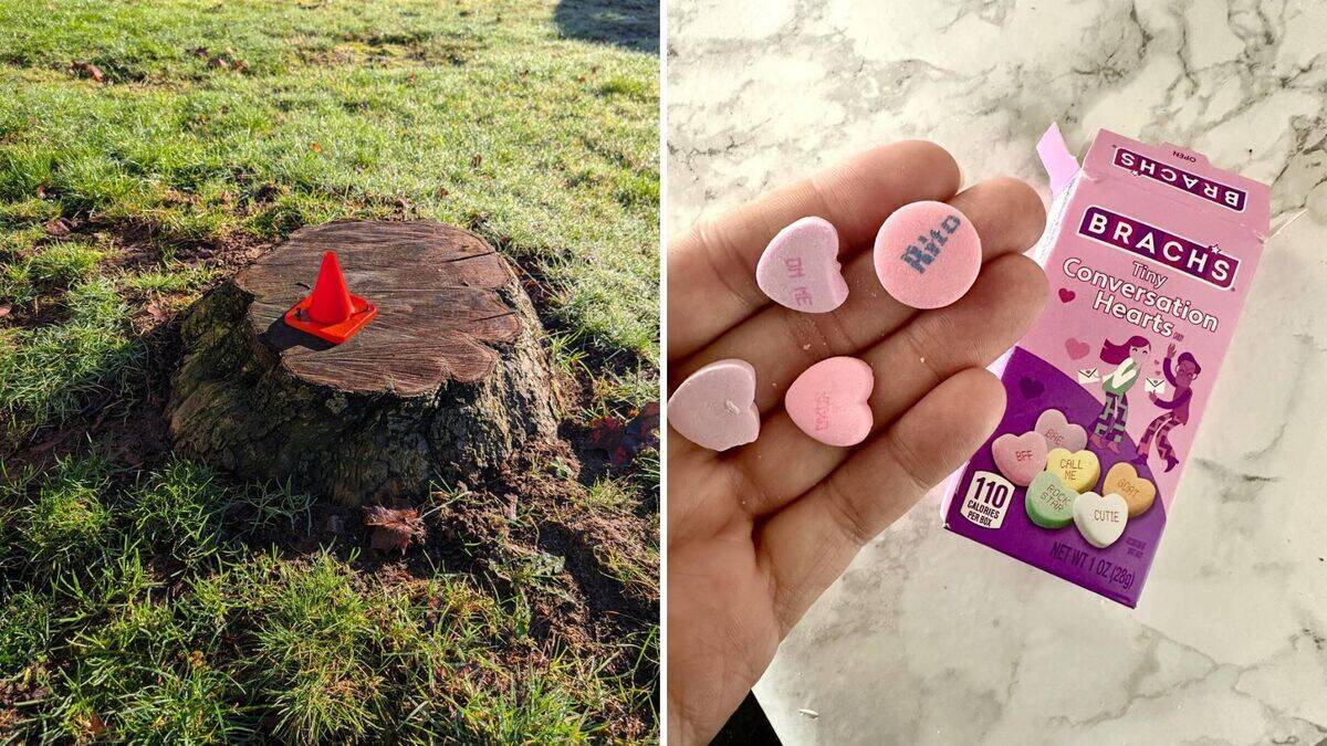 Photos of objects that were just interesting enough to share online