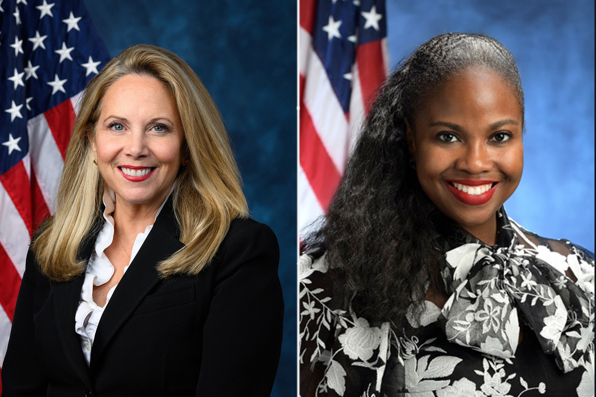 Long Island Rep Laura Gillen faces uphill battle in primary after ...