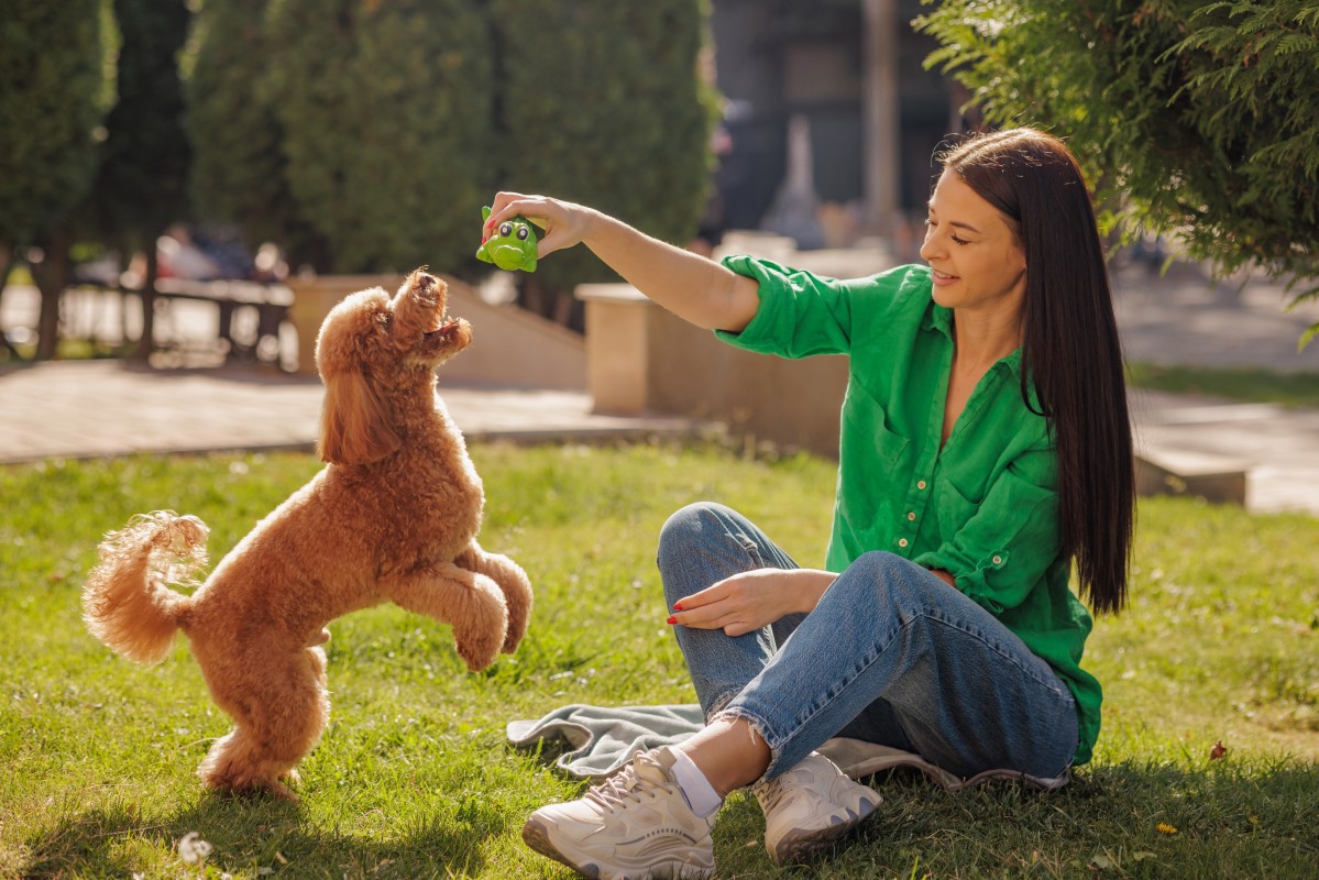 Adorable apple pie dog toy offers interactive fun with hidden treat ...