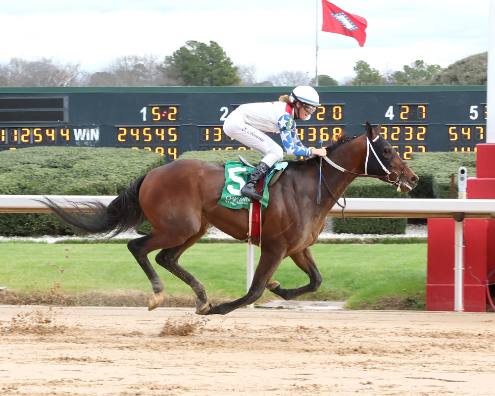 Kentucky Derby runner, 'barn favorite' Publisher breaks his maiden on ...