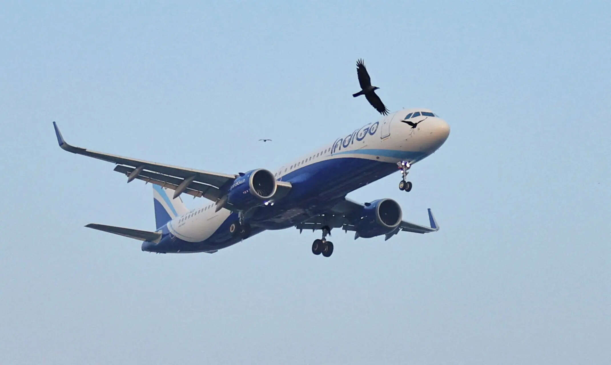 IndiGo extends cancellation of Tbilisi, Almaty, Baku, Tashkent flights ...