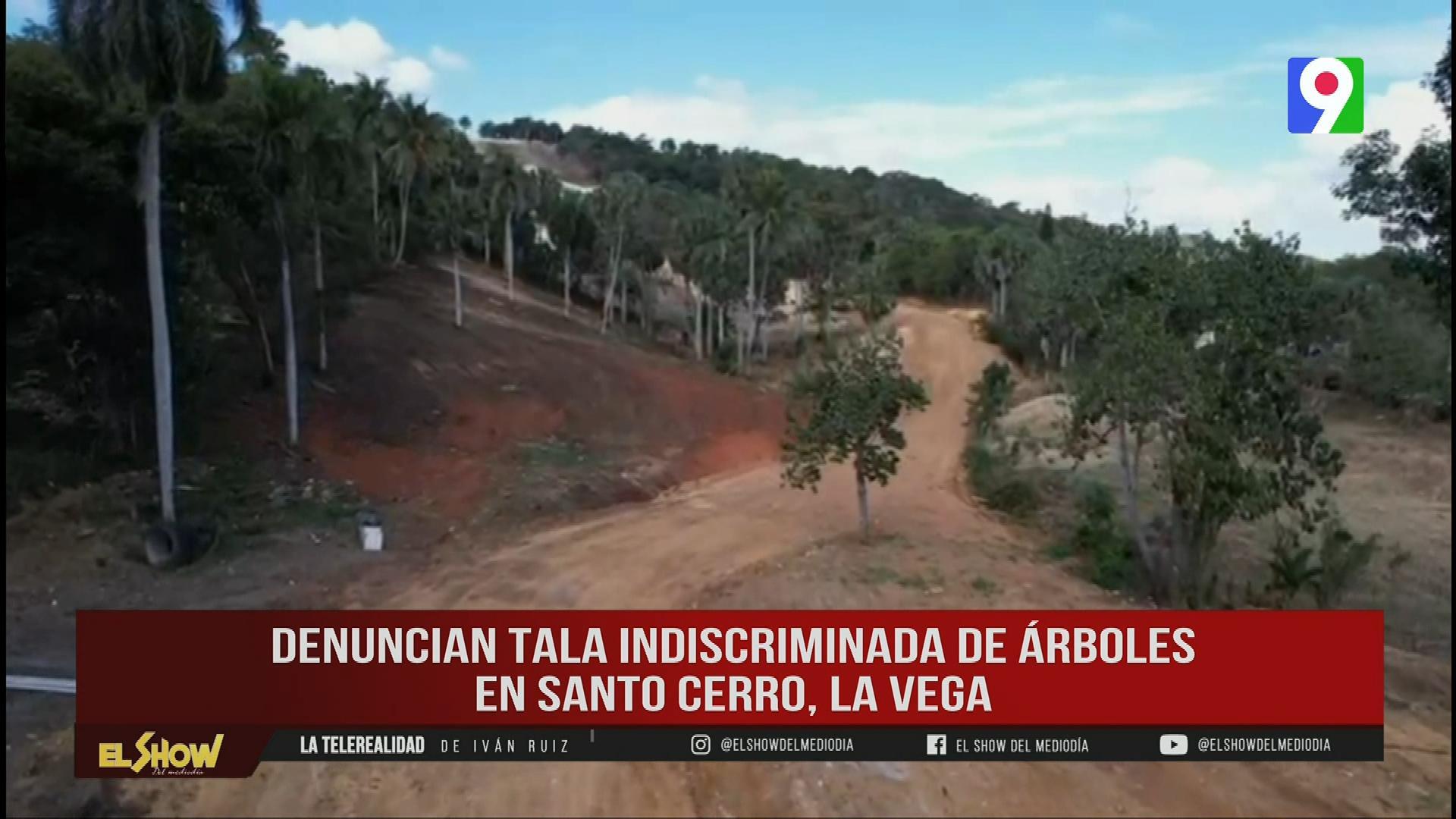 ¡Denuncia! Santo Cerro: Tala de árboles indiscriminada | ESM