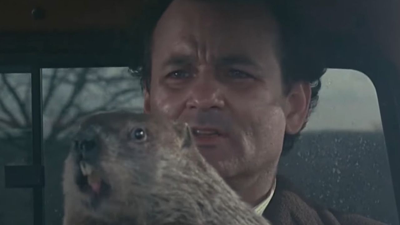 Bill Murray talks about getting bitten twice on the set of Groundhog Day