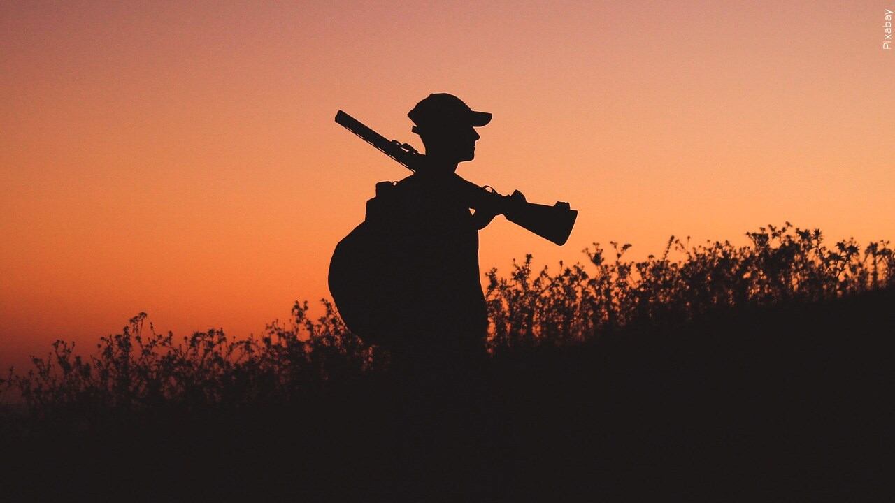 NCWRC seeks public input on 2026-2027 migratory bird hunting seasons