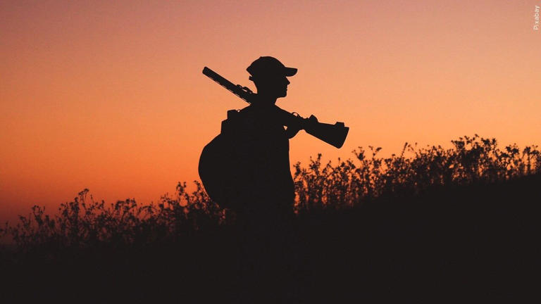 NCWRC seeks public input on 2026-2027 migratory bird hunting seasons