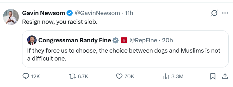 Gavin Newsom calls Florida's Randy Fine 'racist slob'