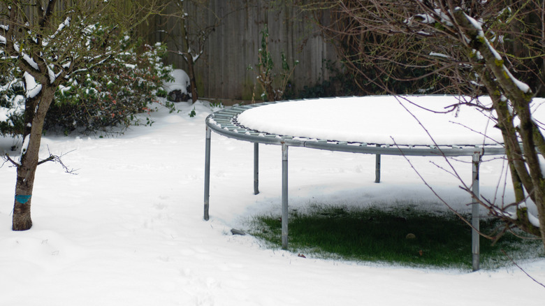 The creative way to turn an old trampoline into a winter greenhouse