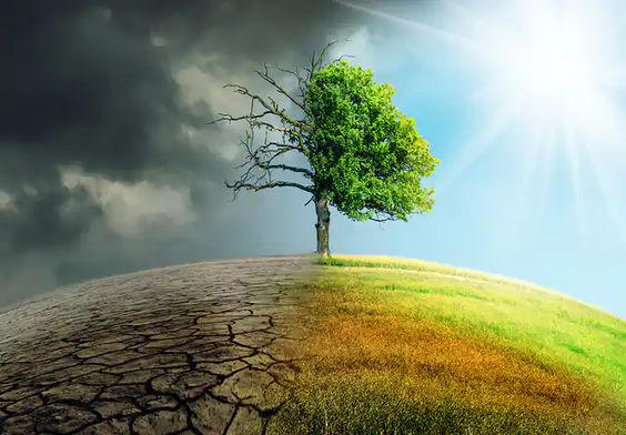 We can move beyond the capitalist model and save the climate – here are ...