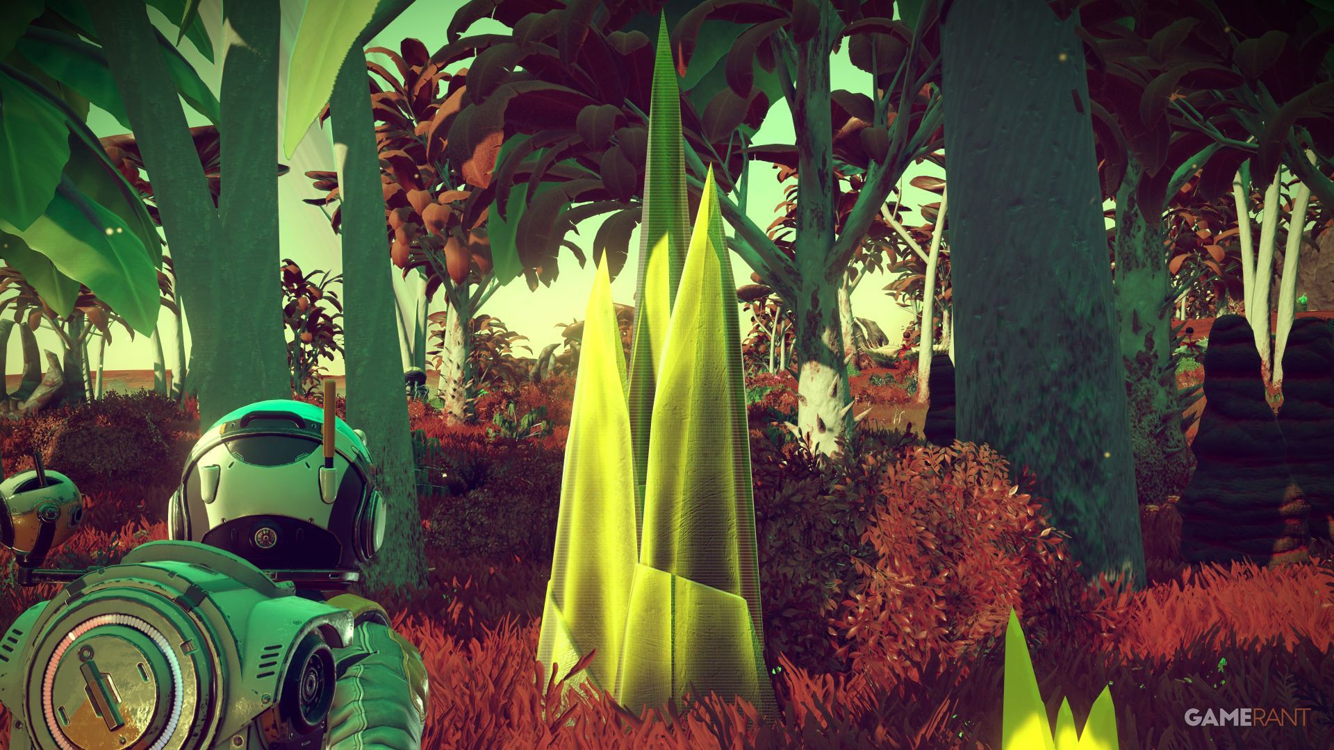 How to find sodium nitrate in No Man's Sky