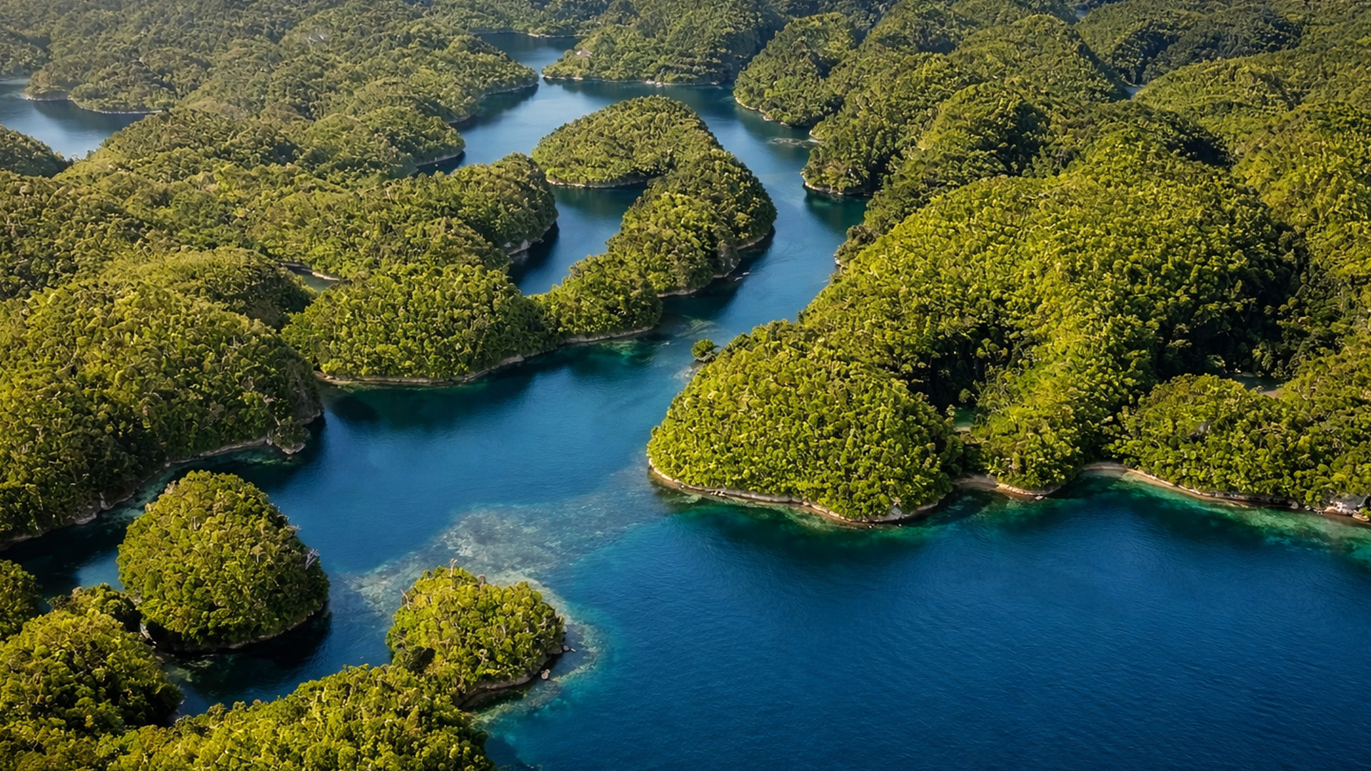 How do boats navigate this maze?