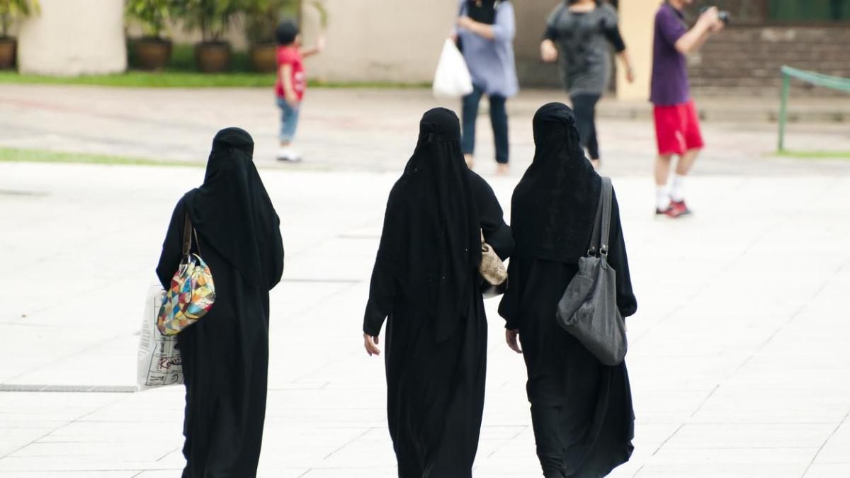 El Senado tramitará la ley de Vox para prohibir el burka y el niqab con ...