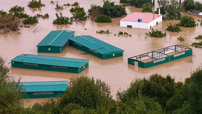 EU countries need to 'urgently coordinate' to adapt to climate change ...