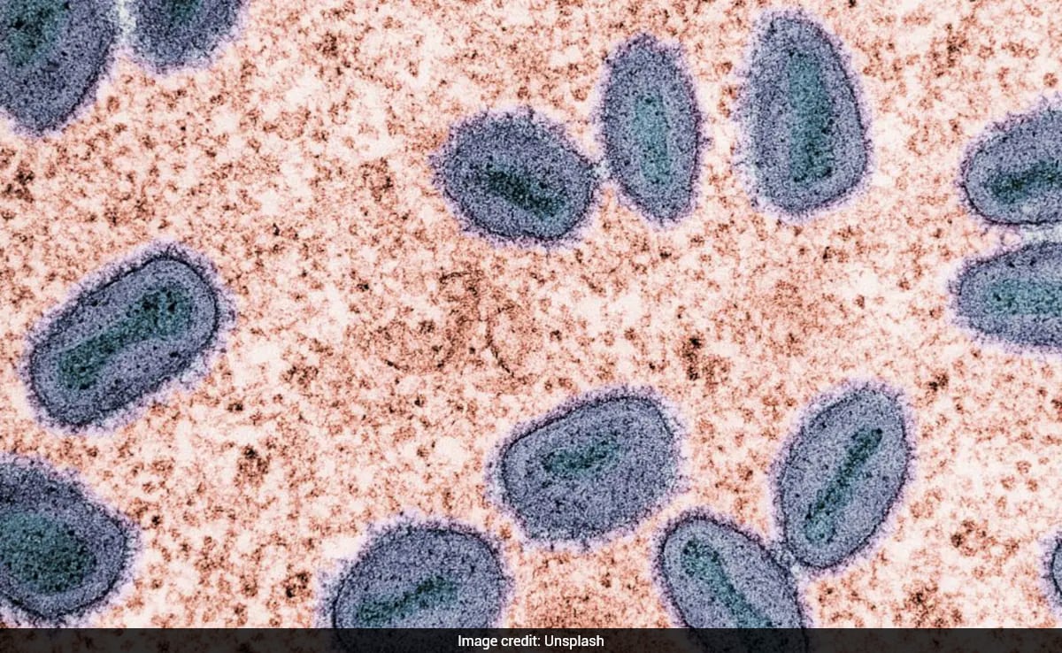 WHO confirms 2 cases of new mpox virus strain in India and UK, urges ...