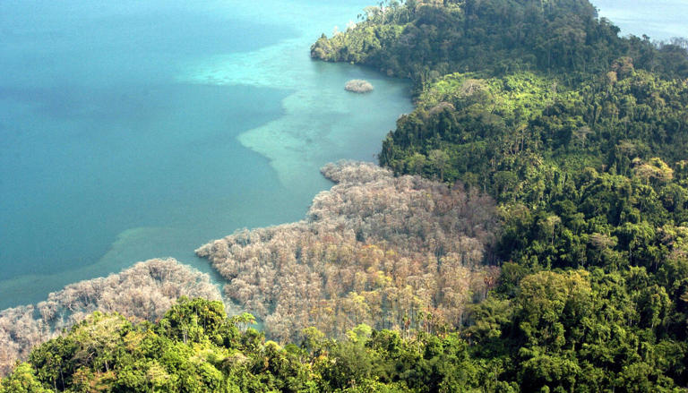 India’s huge new megaport off Southeast Asia gets green go-ahead