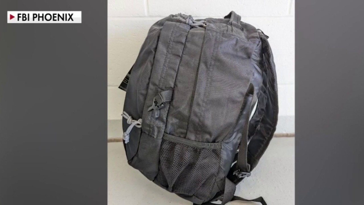 Nancy Guthrie case: Suspect's backpack sold at Walmart