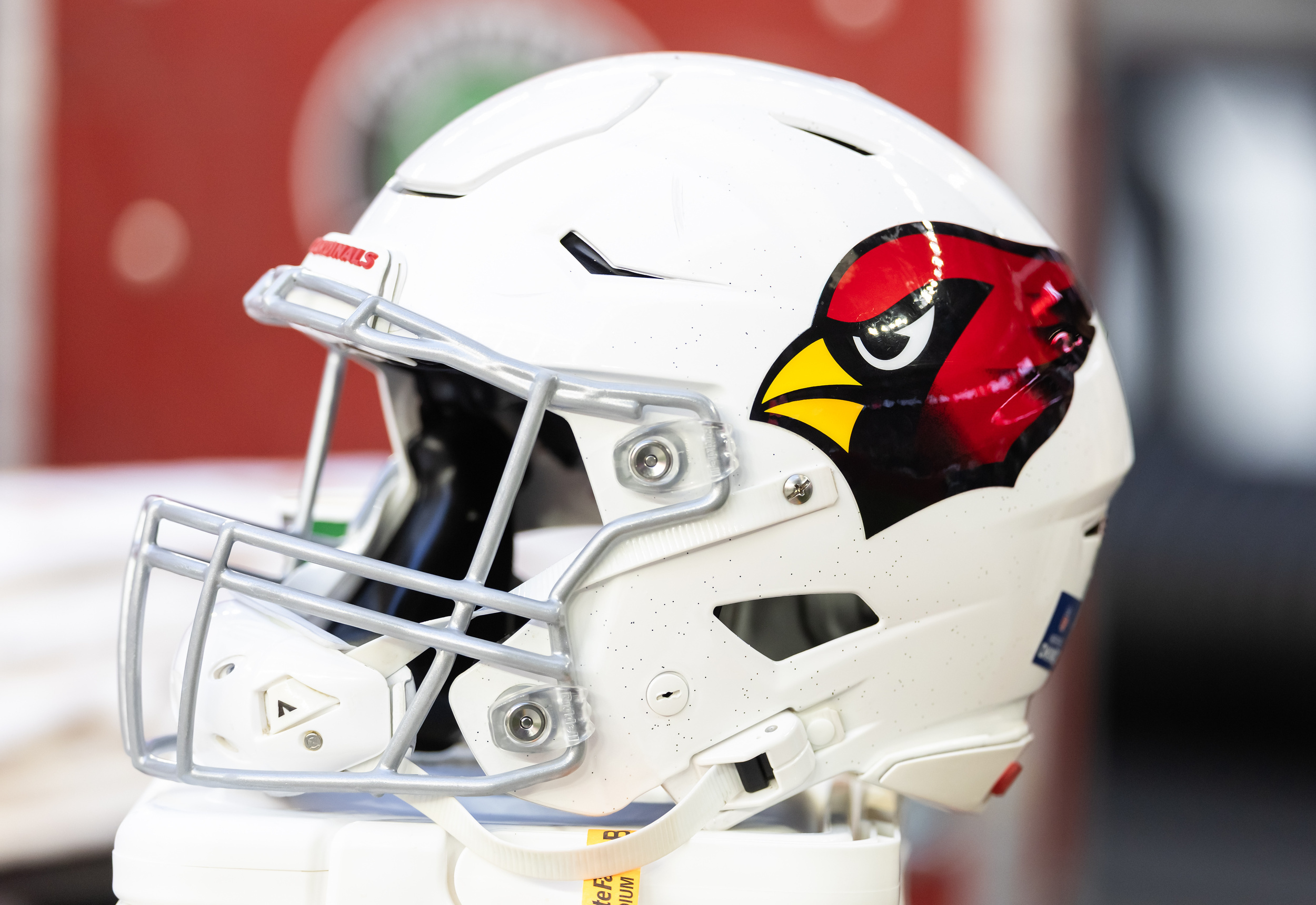 Cardinals part of 11-team grievance against 2025 NFLPA report cards
