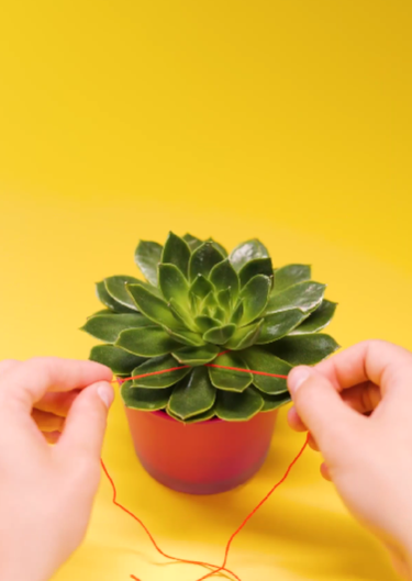 Creative gardening hacks for unique planting ideas