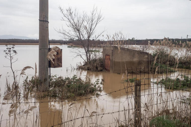 Maltempo in Calabria, situazione in miglioramento ma inizia la conta ...