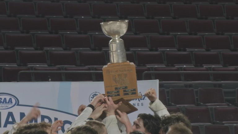 AOTW: Zuber’s game-winner, Huelskoetter’s shutout lift South hockey to ...