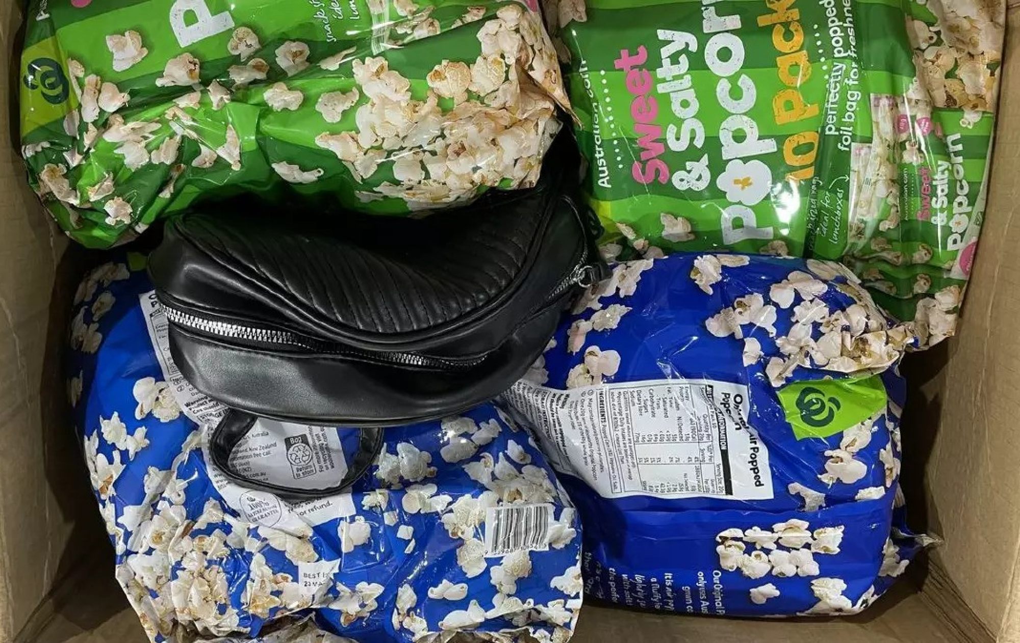 Australian smuggler jailed record 8 years for mailing lizards in ...