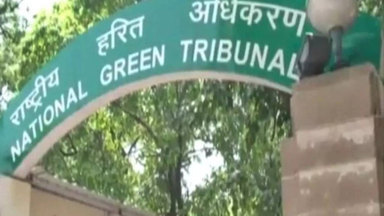 NGT clears Rs 90,000-crore Great Nicobar project, here's why it can be ...