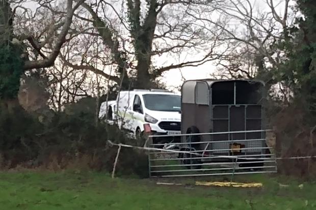 Police descend on farm as part of probe into Southampton shooting