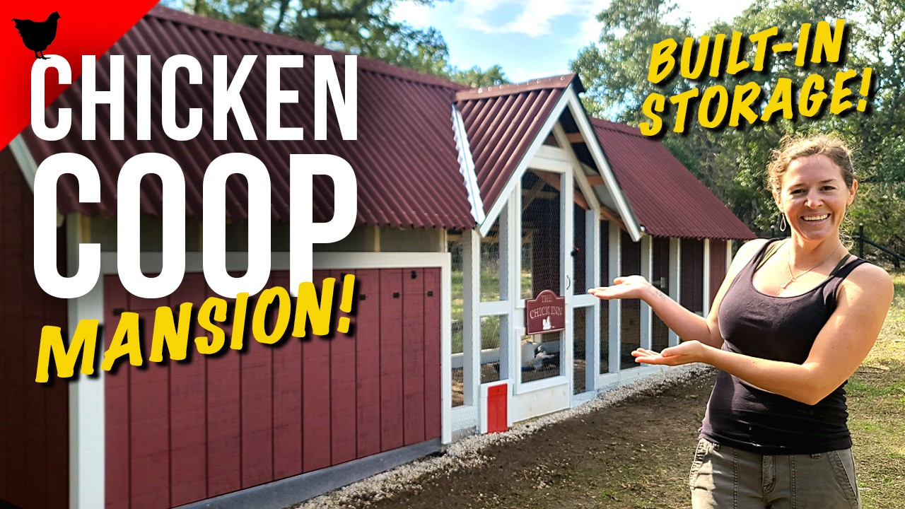 Build the ultimate backyard chicken coop with these easy steps