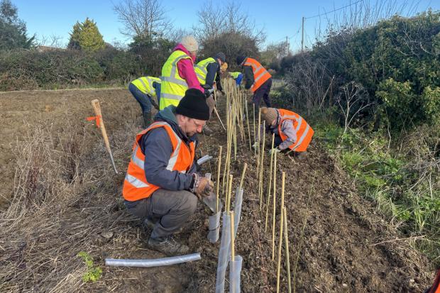 Group of young people set to plant new hedgerow at Hampshire event this ...