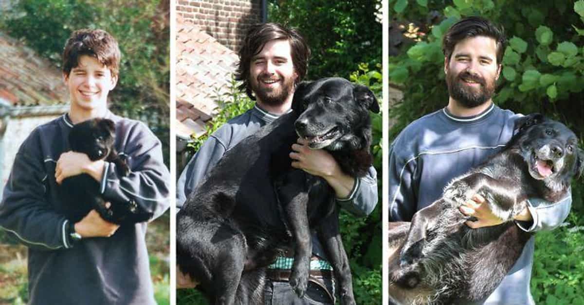 Adorable before-and-after photos of dogs growing up with their humans