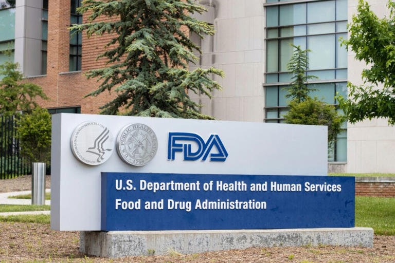 FDA delays Disc Medicine's rare disease drug