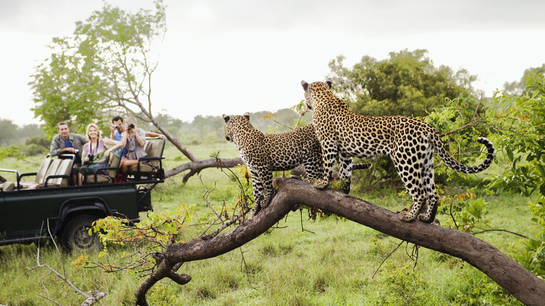 The most tourist-friendly countries in the world, according to travelers