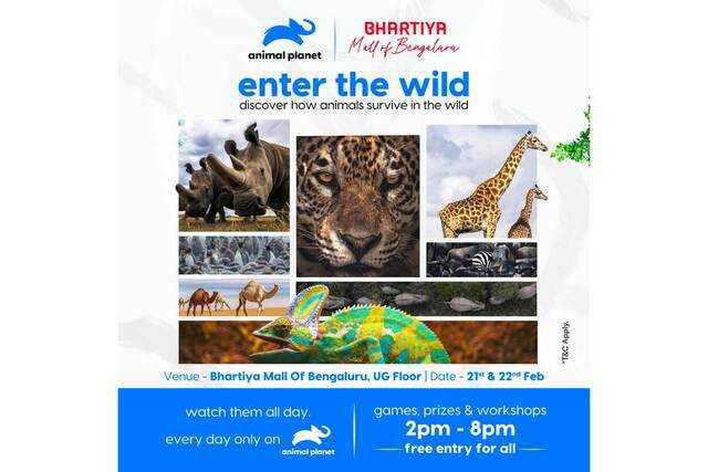 Bhartiya Mall of Bengaluru and Animal Planet bring 'Enter the Wild'—a ...