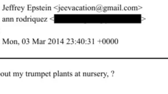 'Zombie flower' in Epstein files: How Lord Shiva's sacred 'datura' was ...