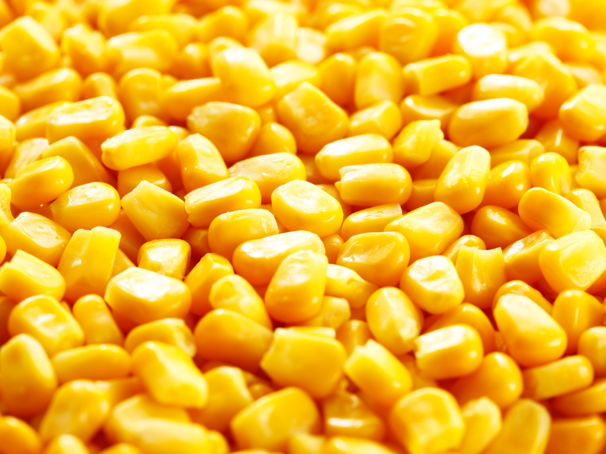 6 corn breakfast recipes to kickstart your morning the right way