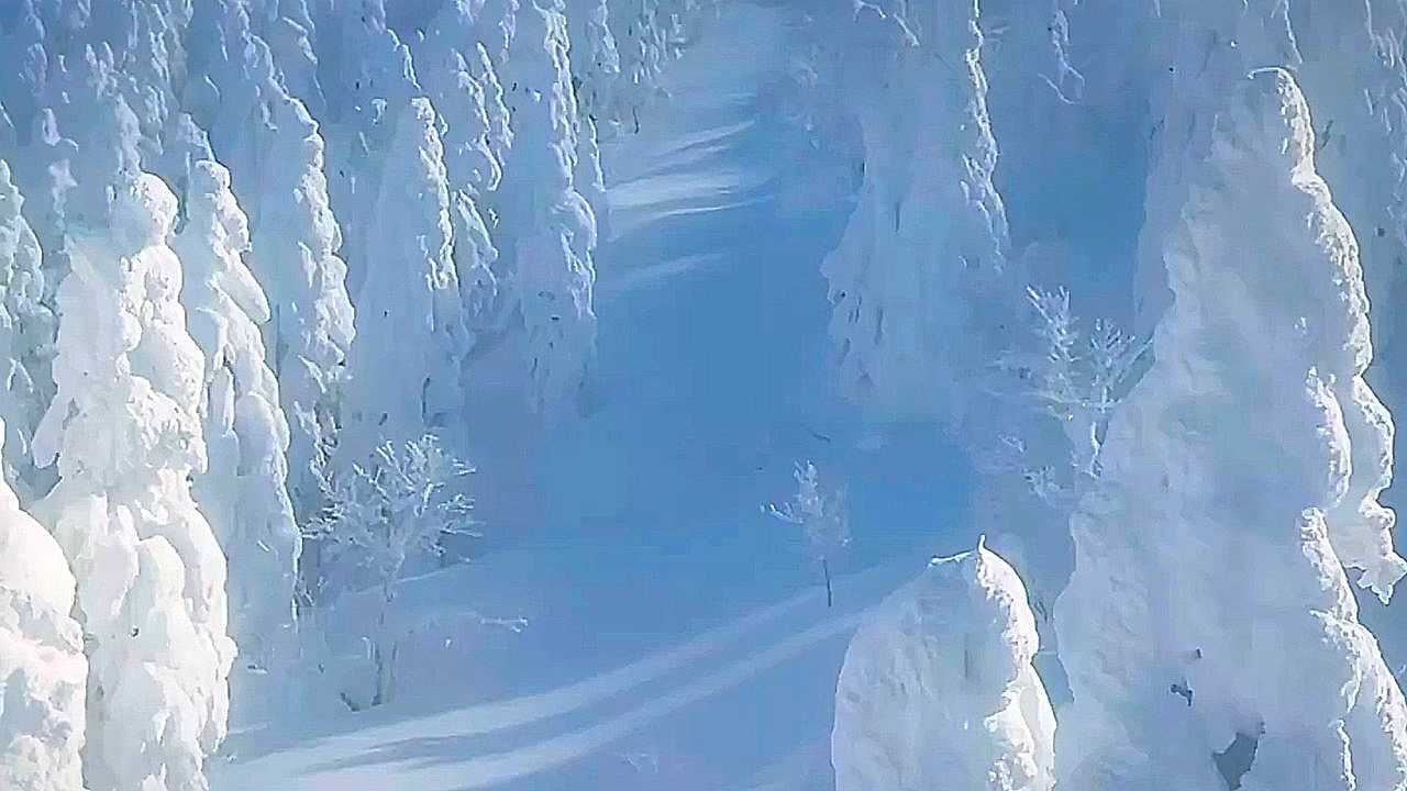 Raros 'monstruos de nieve' aparecen en el monte Zao de Japón tras una ...