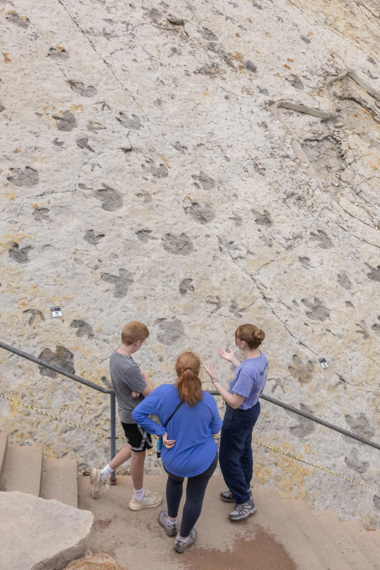 A dinosaur road trip through the American West