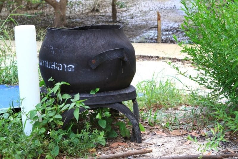 Only in Thailand: Everyday oddities that delight