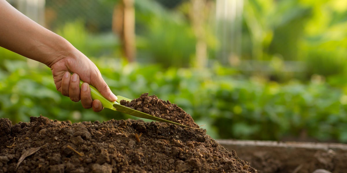 From curating compost to pest control: 8 must-do gardening jobs that ...
