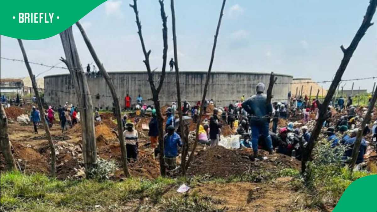 Gold fever hits Springs as locals continue digging for gold following ...