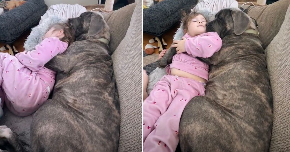 Video: Dog & kid show how to spend Sunday perfectly