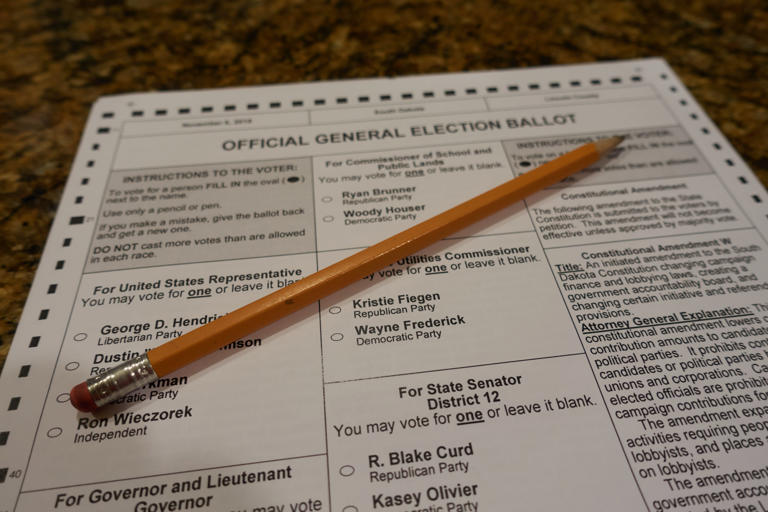 Dallas voters face record length ballots as primary voting begins