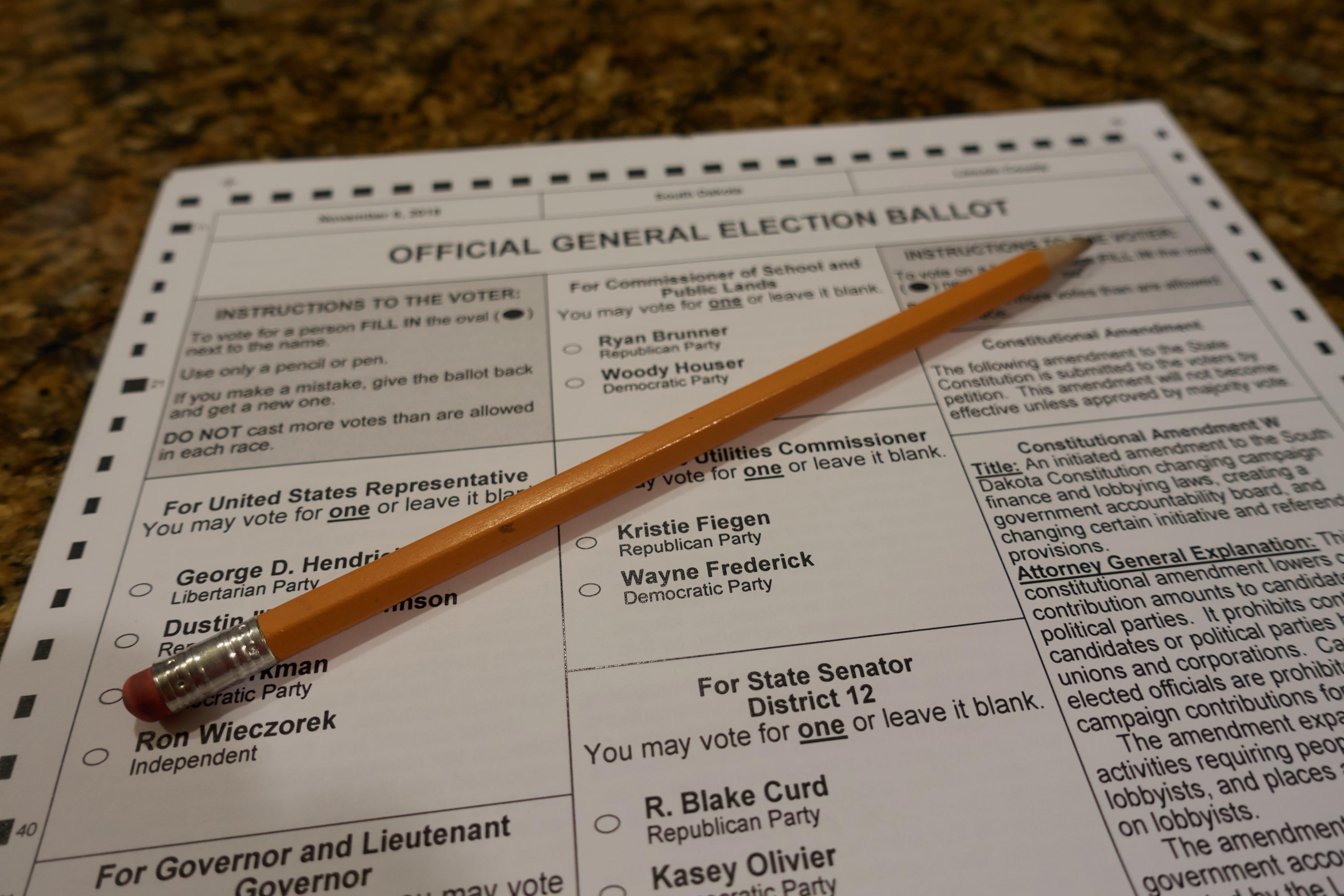 Dallas voters face record length ballots as primary voting begins