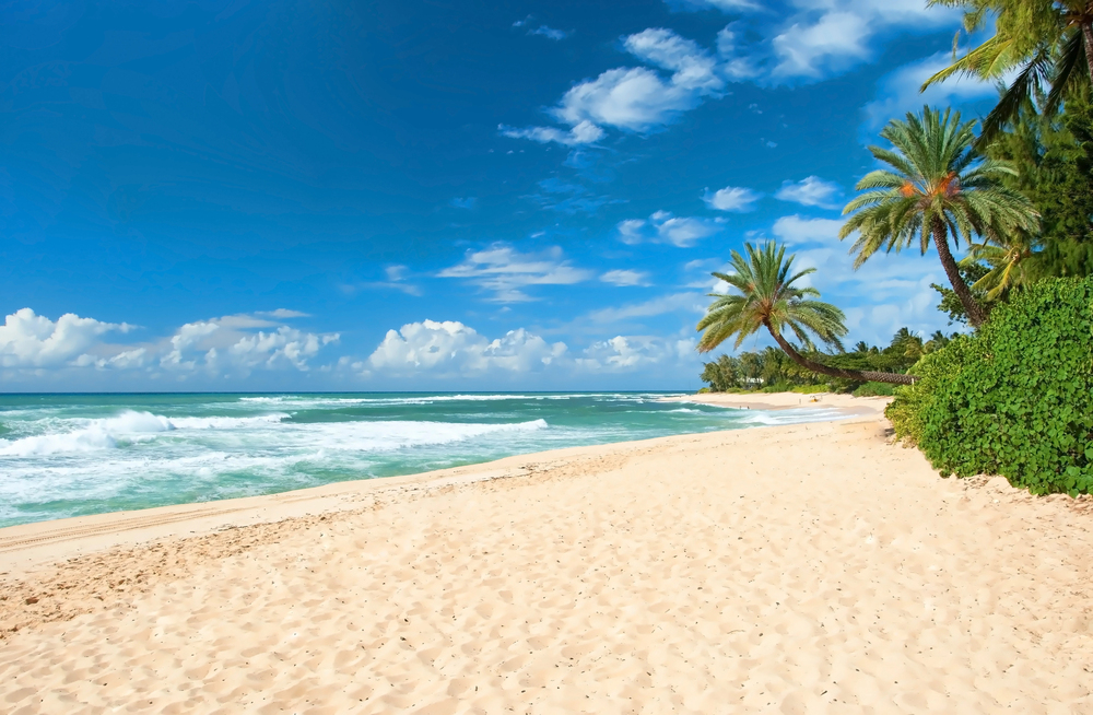 15 beautiful US beaches that are perfect for shell collecting